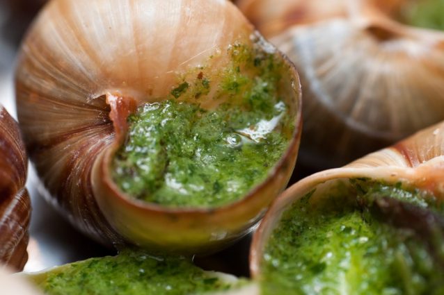 Escargot: la ricetta francese alla Bourguignonne