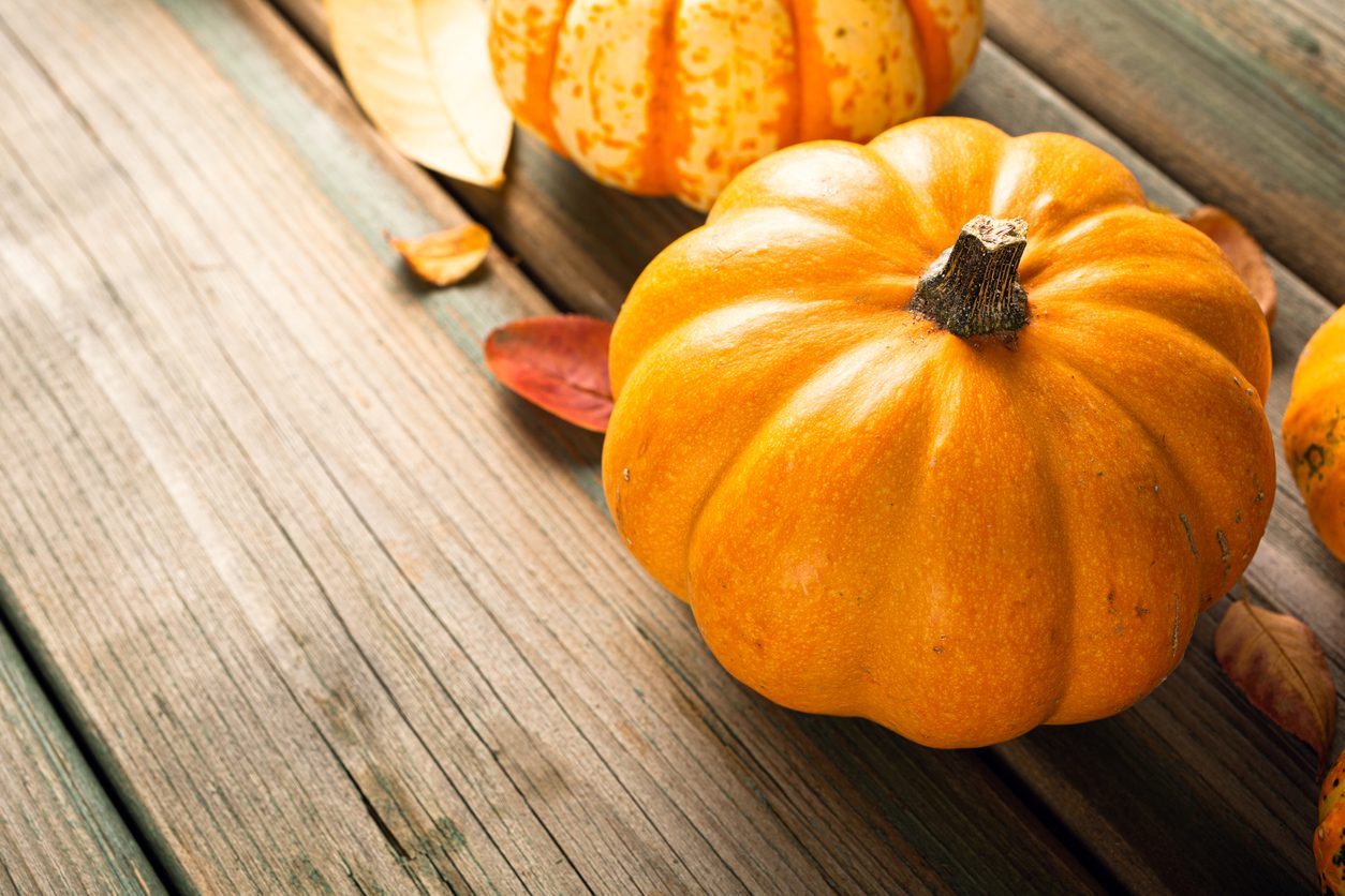 Zucca: proprietà benefiche, varietà e i migliori usi in cucina