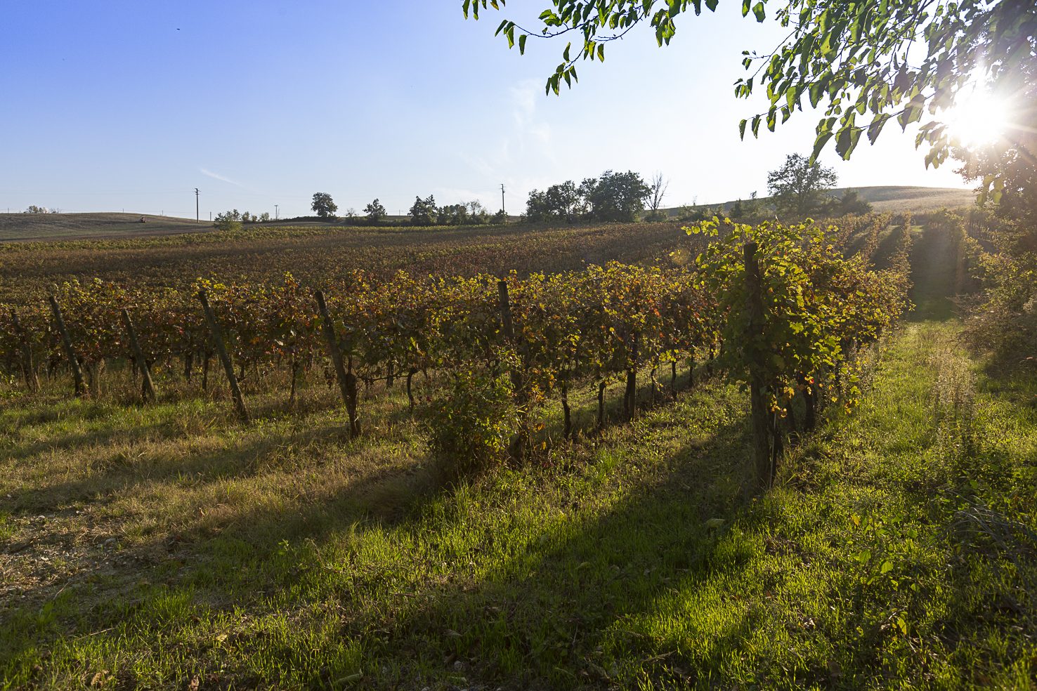 Invecchiare bene: 24 ore in Val Curone alla scoperta di vini e salumi ...