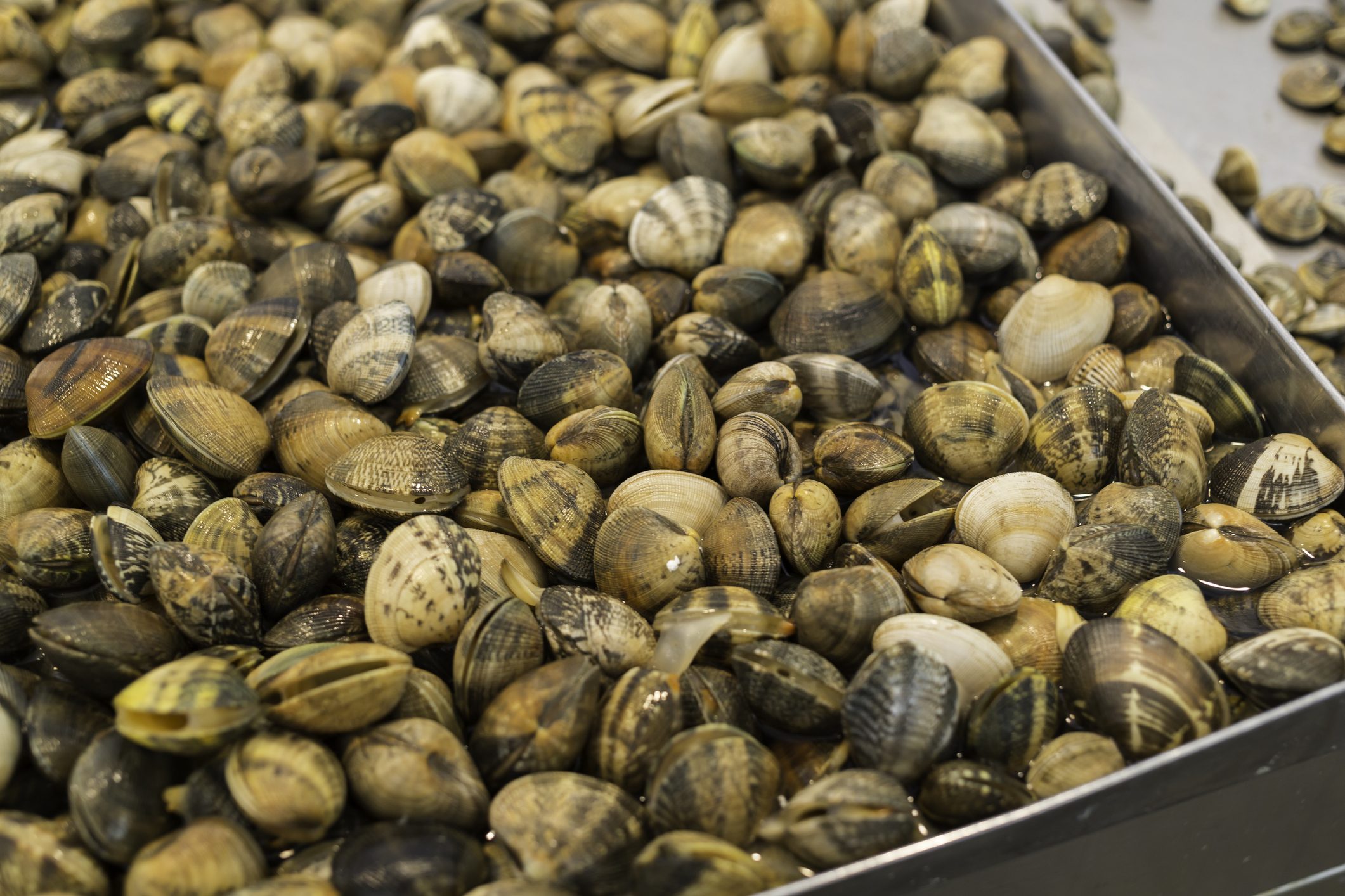 Health hazards associated with consuming dead mussels