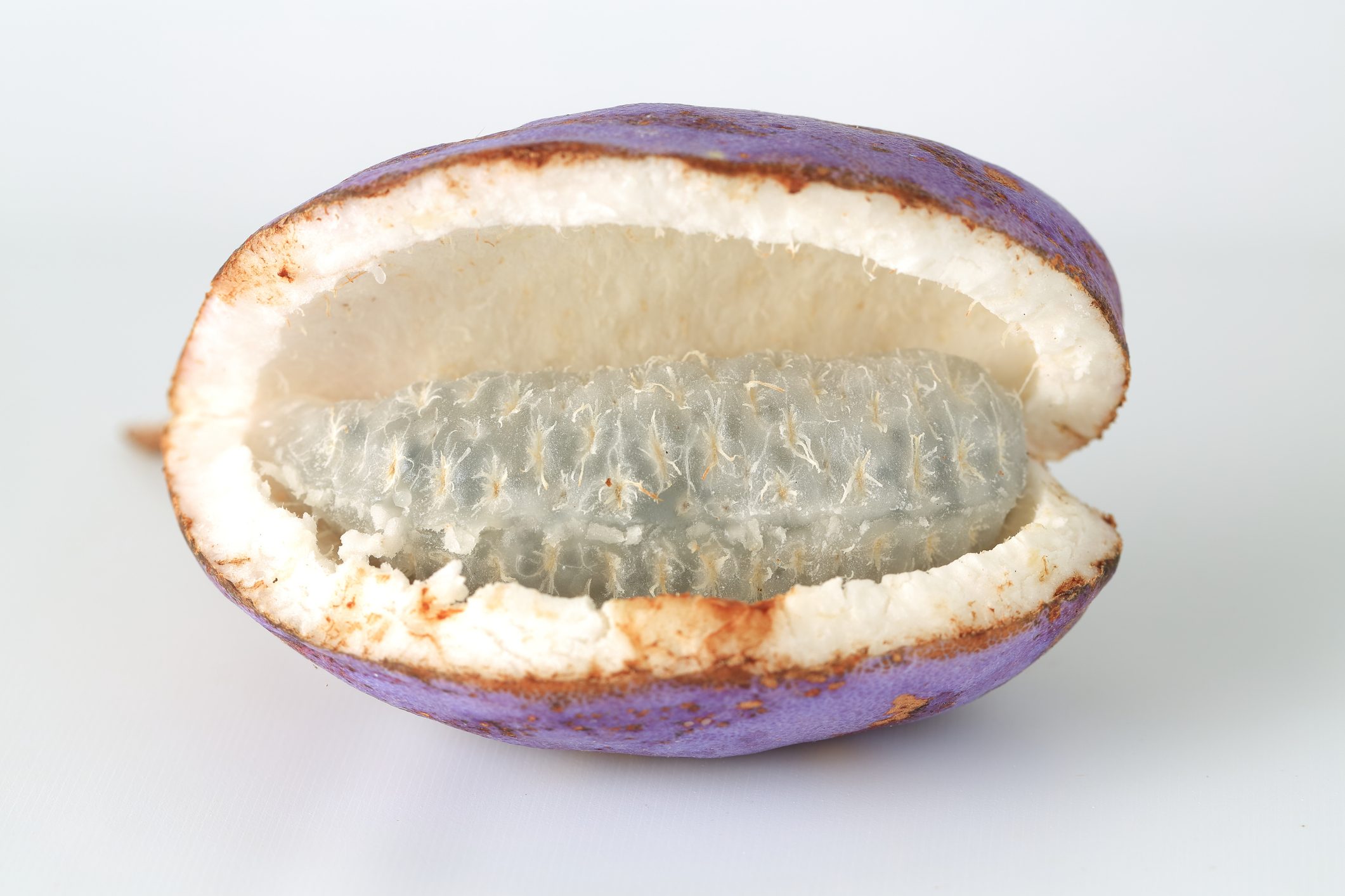 Here's Everything You Need To Know Purple Akebi Fruit
