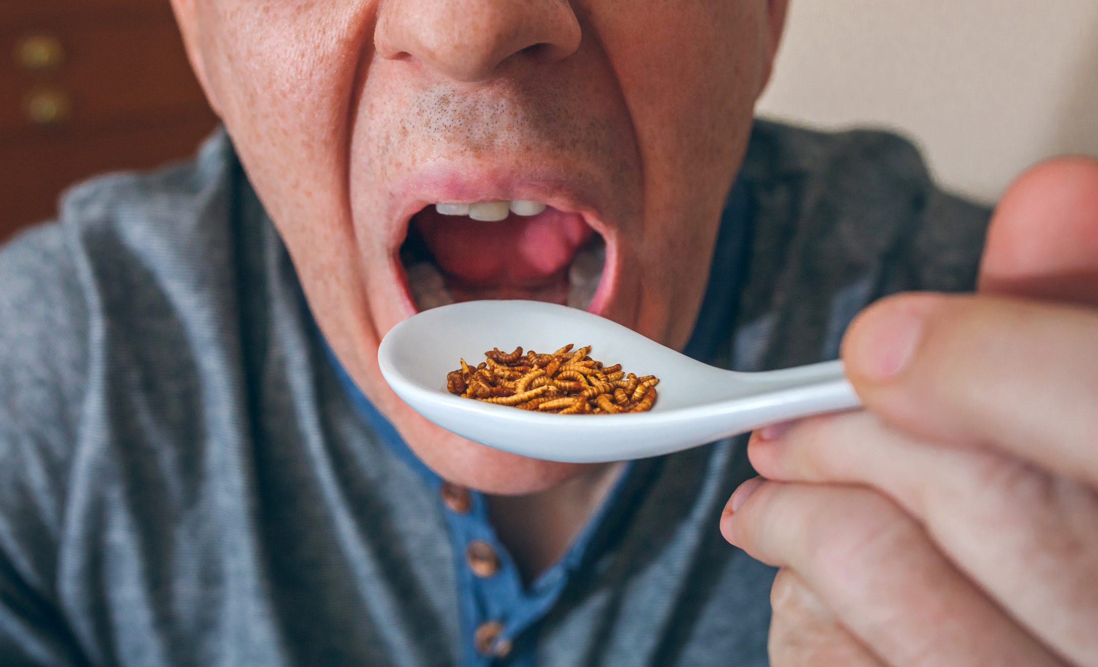 Here's Why You May have Been Eating Insects Your Whole Life
